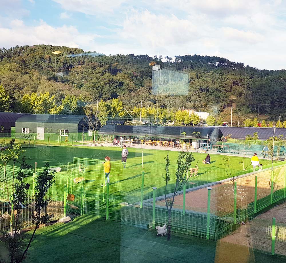 개리비안비치 - OK114