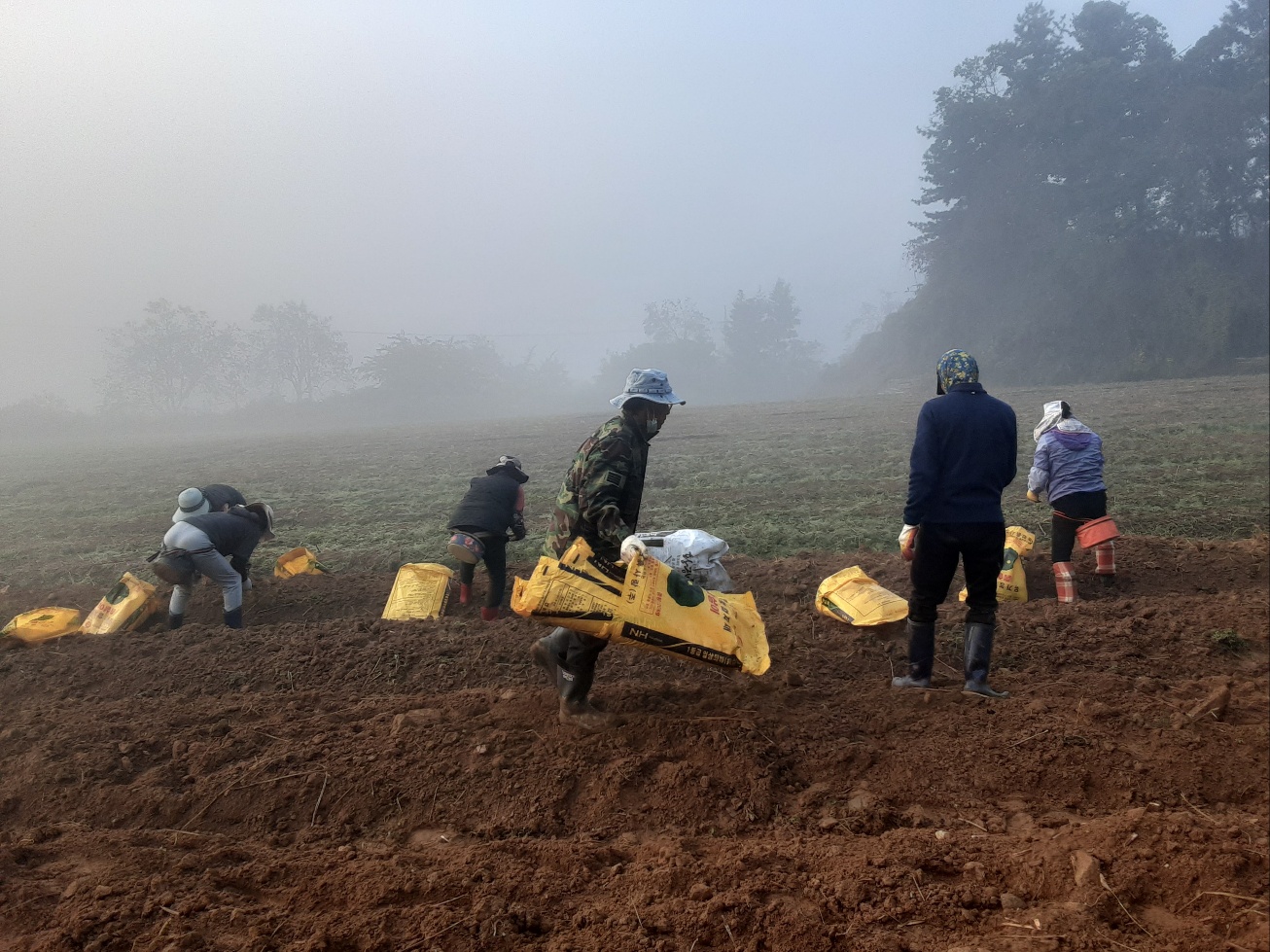 농사짓는사람들 - OK114